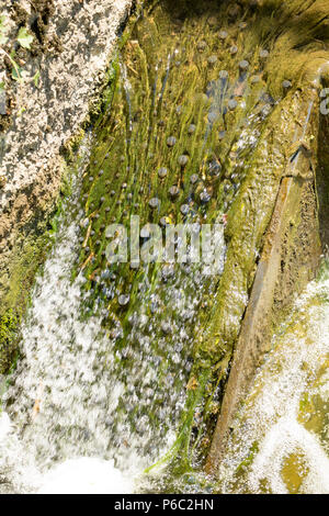 Fish and elver passes on the River Avon at Fladbury, Worcestershire ...