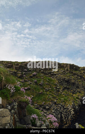 View of the Treshnish Isles Stock Photo - Alamy