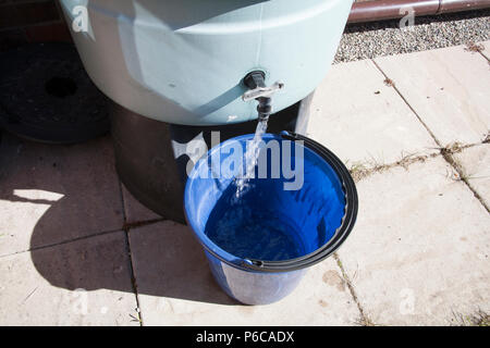 Filling bucket with rain water Stock Photo - Alamy