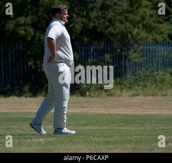 An overweight cricket player Stock Photo - Alamy