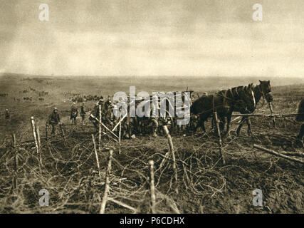 Barbed wire of the First World war battlefield Lingnerkopf, now ...