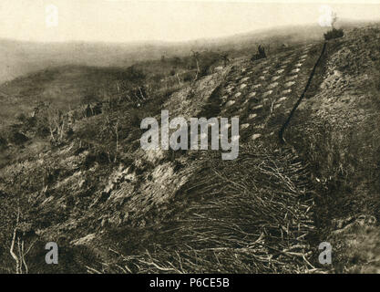 romania, battlefield, eastern front, ww1, wwi, world war one Stock ...