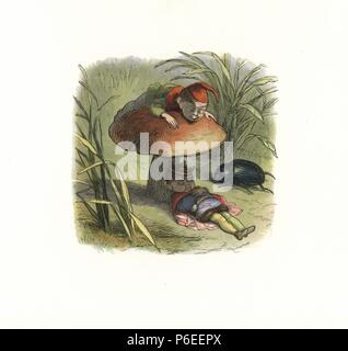Elf King asleep under toadstool Stock Photo - Alamy