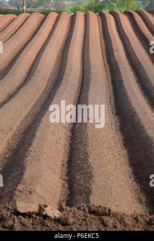 Furrows on ploughed field Stock Photo - Alamy