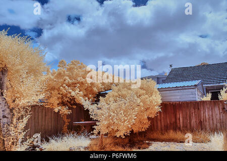 Landscape in false colors taken with an infrared modified camera Stock ...