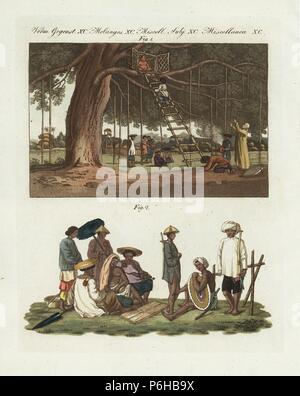 Vietnamese soldier with musket. Handcoloured copperplate drawn and ...