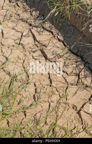 Dry water channel at field edge. For UK water shortage, climate change ...