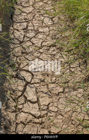 Dry water channel at field edge. For UK water shortage, climate change ...