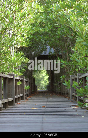 Wood boards along the streams Stock Photo - Alamy