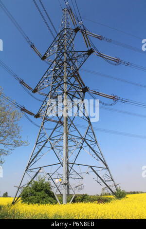 Electricity pylon in a field of Rapeseed in flower Chelsfield Bromley ...