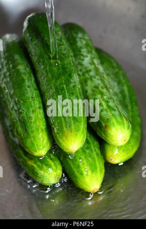 wash the cucumber in the hands isolated on white background Stock Photo ...