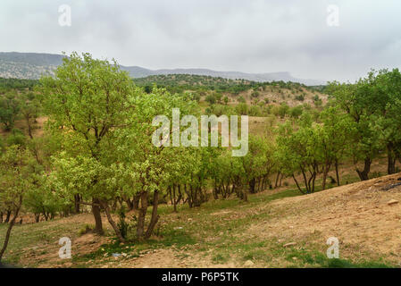 Nature landscape near Khorramabad County in Lorestan Province. Iran ...