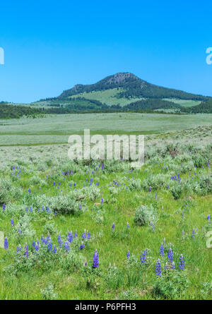 black butte above the prairie near roy, montana Stock Photo - Alamy