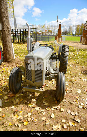 ferguson TE20 known as the 'little grey fergie', known as the 'grey ...