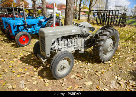 Ferguson TE20 'Little Grey Fergie' tractor snow covered grazing marsh ...