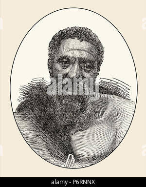 A 19th century drawing of a Kaffir chief of the Zulu tribe. When this ...