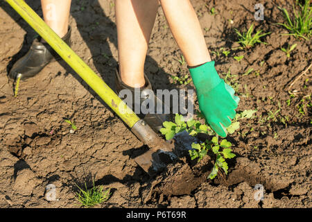 Fragment of woman's legs digging soil with shovel close up view Stock ...