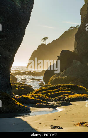 Seastacks and rocks at Point of the Arches, Shi-Shi Beach, Olympic ...