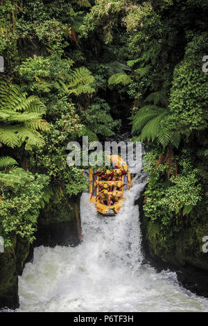 Whitewater rafting over the Okere Falls in Rotorua, New Zealand Stock ...
