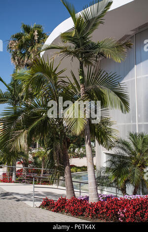 Orchidarium in the center of Estepona, Spain Stock Photo - Alamy