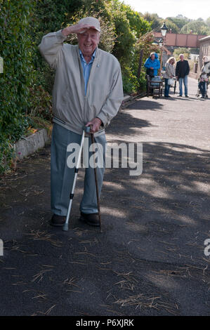 old or senior man saluting Stock Photo - Alamy