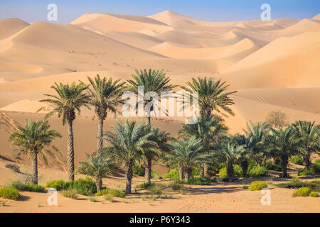Al-Ain Desert oasis, Abu Dhabi, UAE Stock Photo - Alamy