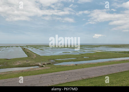Dutch wetlands behind dike in Friesland near IJsselmeer Stock Photo - Alamy