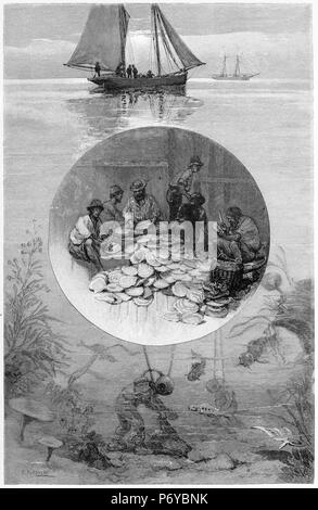 History of pearl diving at the Australian Pearling Exhibition Stock ...