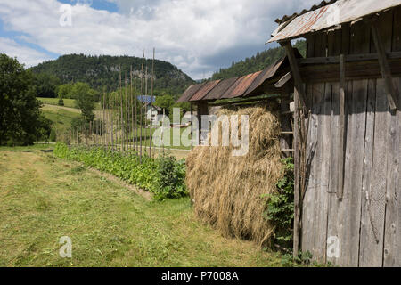 A traditional Slovenian drying frame hay rack called a kozolec in the ...