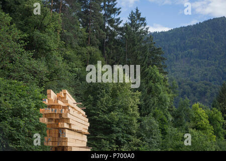 New-sawn planks piled up in a timber yard near a pine forest in rural ...