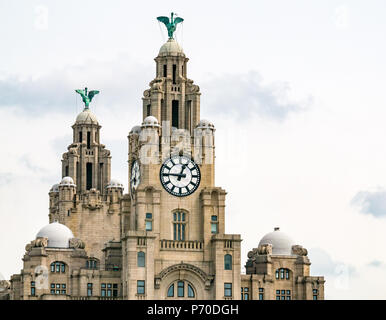 Close up view of clock towers of Royal Liver building with cormorant ...
