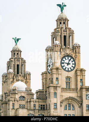 A close view of the clock tower of the liver building, Liverpool Stock ...
