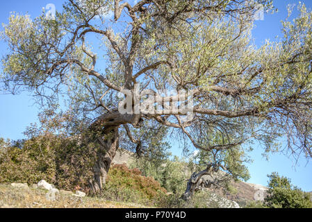 Piqeras village, Saranda district, Albania Stock Photo - Alamy