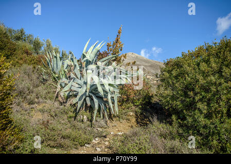 Piqeras village, Saranda district, Albania Stock Photo - Alamy