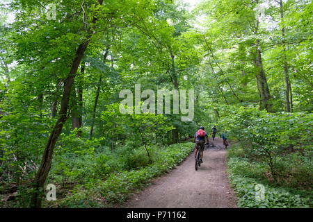 Wissahickon Valley Park with People Cycling on Forbidden Drive in ...