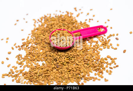 Spices, Fenu Greek seed Trigonella foenum graceum on white background ...