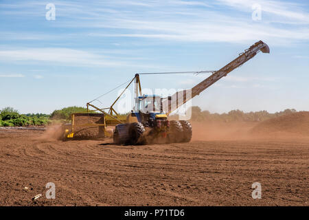 Agricultural tractor with harvester stockpiling loose milled peat ...