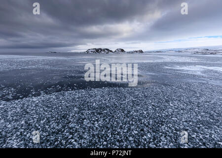 Brash ice and grease ice, Torgersen Island and glaciers of Anvers ...