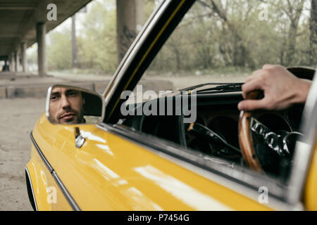 Selective focus shot of a male Bearded Reedling eating frosty seeds on ...