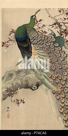 Ohara Koson – Two Peacocks on a Tree Branch (Twee pauwen op boomtak ...