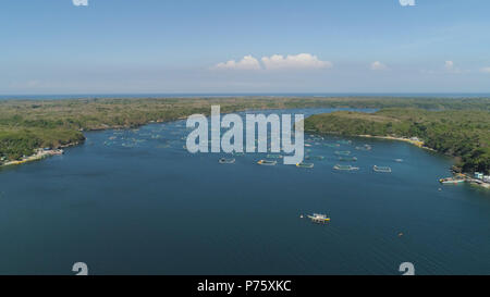 Fish farm with cages for fish and shrimp in the Philippines, Luzon ...