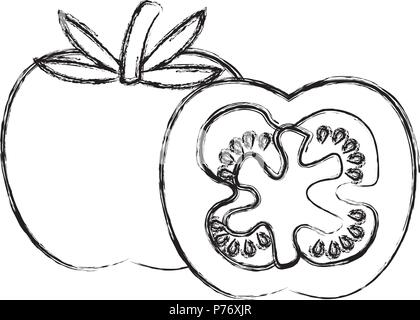 fresh tomato slide healthy food Stock Vector Image & Art - Alamy