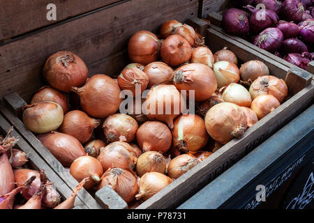 Yellow onions in a basket, local market Stock Photo - Alamy