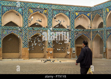 A flock of pigeons take flight in Hitchin town square Mirrorpix Stock ...