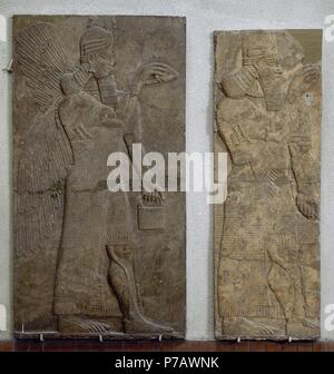 Assyrian winged genie. Assyrian relief from the Northwest Palace of ...