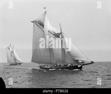 Rose Dorothea, with broken topmast in first Fishermen's Race for Lipton ...