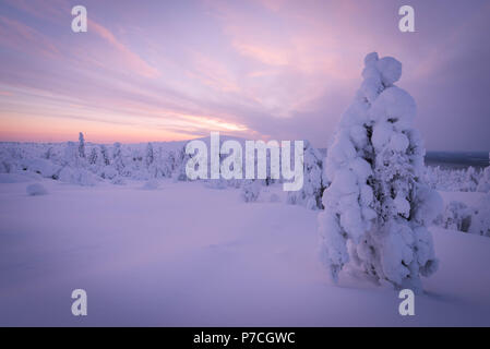 Winter scene from fell Sammaltunturi in Muonio, Finland, Lapland Stock ...