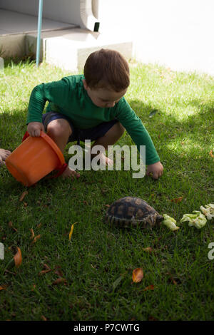 Turtle and boy Stock Photo - Alamy