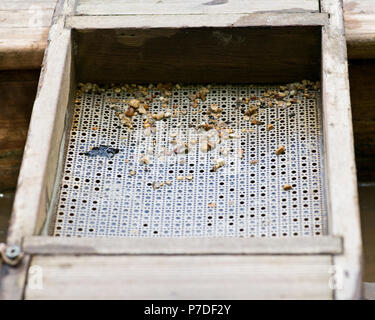 Gemstone panning with a sluice box. Sifting for stones and fossils at ...