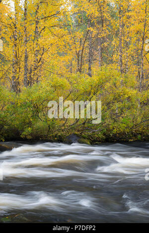 River Keräsjoki in Muonio, Lapland, Finland Stock Photo - Alamy